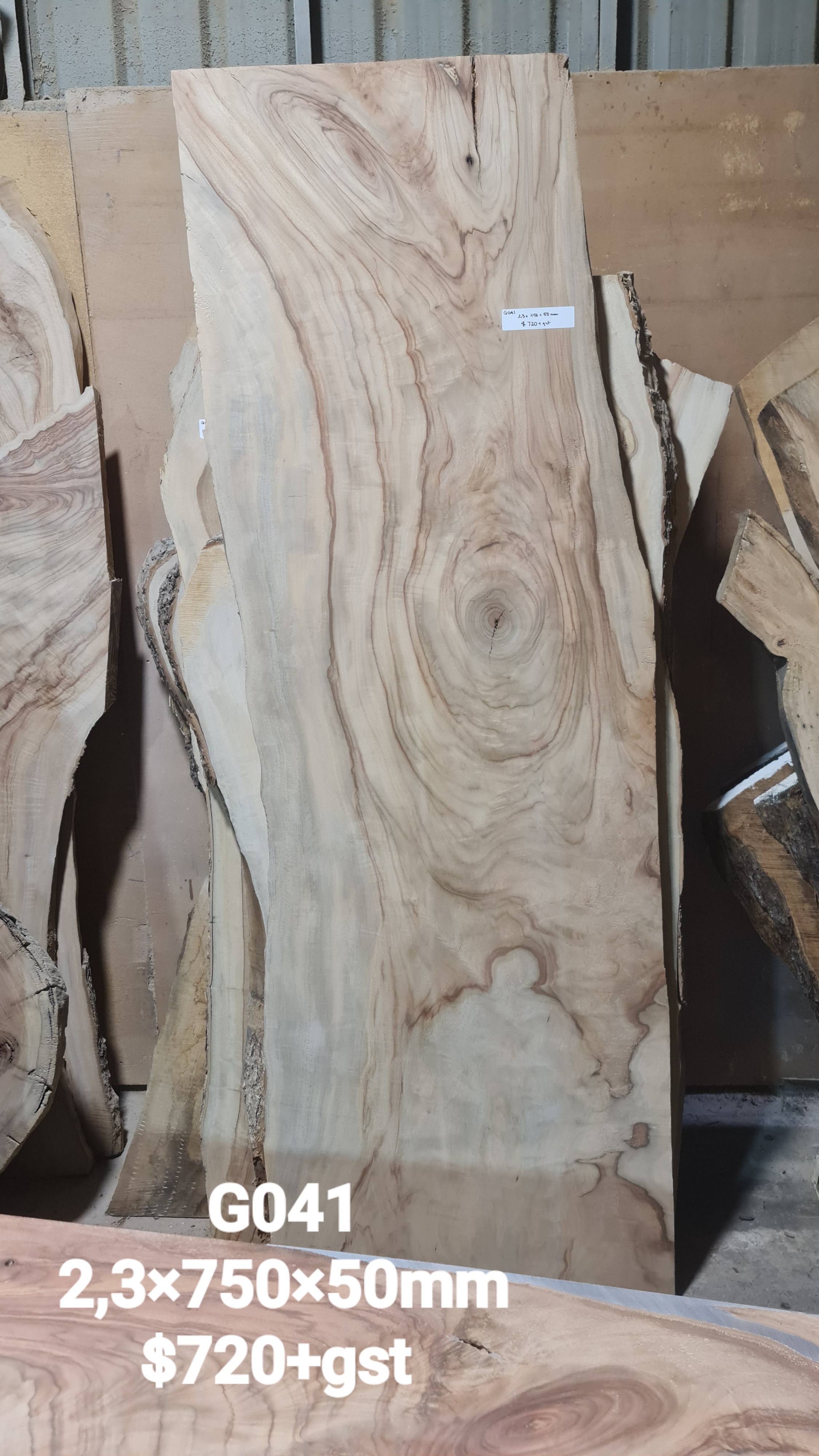 G041 - Camphor Timber Slab - Aussie Camphor